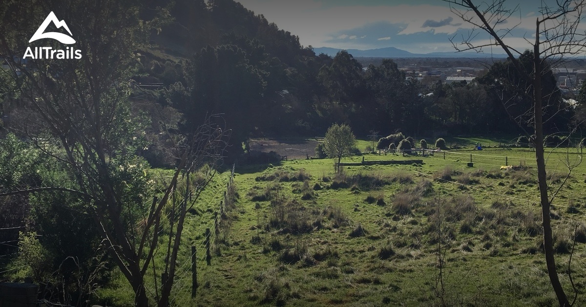 Best hikes and trails in Duncan Park | AllTrails