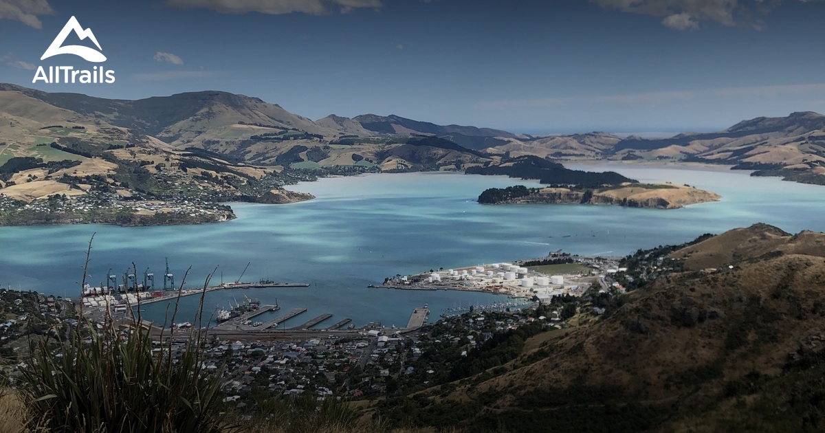 Best hikes and trails in Tauhinu-Korokio Scenic Reserve | AllTrails