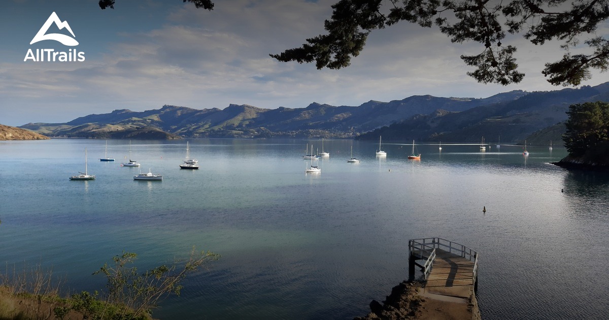 Best hikes and trails in Corsair Bay Reserve | AllTrails
