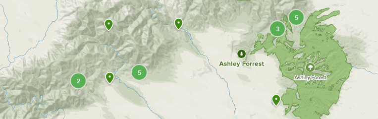 Best Hikes and Trails in Ashley Forest | AllTrails