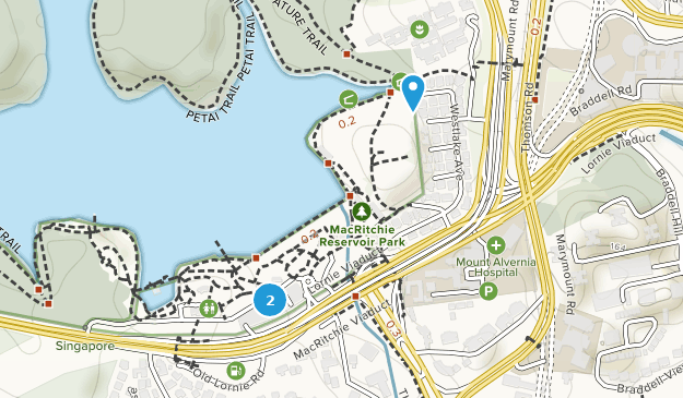 Best Trails in MacRitchie Reservoir Park - Central, Singapore | AllTrails