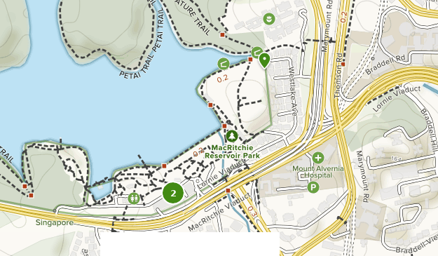 Best Trails in MacRitchie Reservoir Park - Central, Singapore | AllTrails