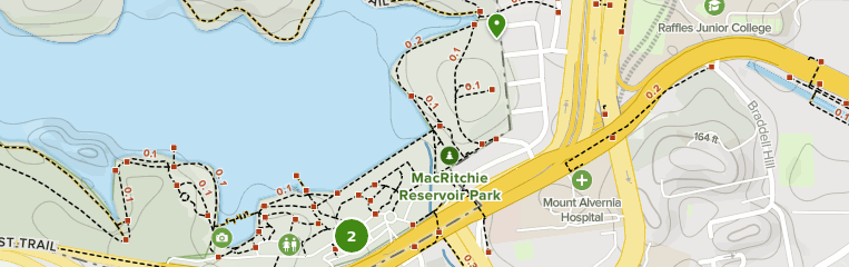 Best Trails in MacRitchie Reservoir Park - Central, Singapore | AllTrails