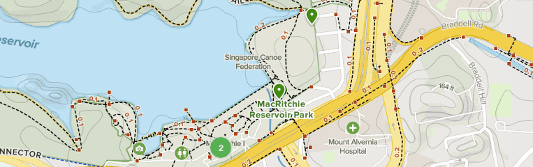 Best Hikes and Trails in MacRitchie Reservoir Park | AllTrails