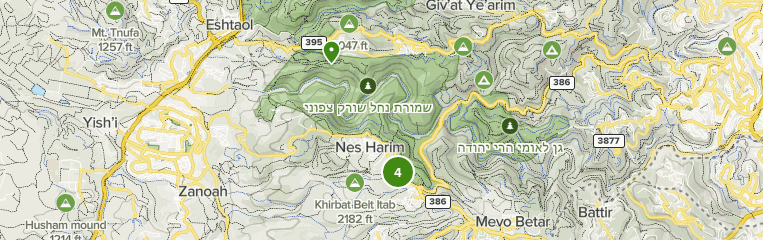 Best trails in Nahal Sorek Nature Reserve, Jerusalem, Israel | AllTrails