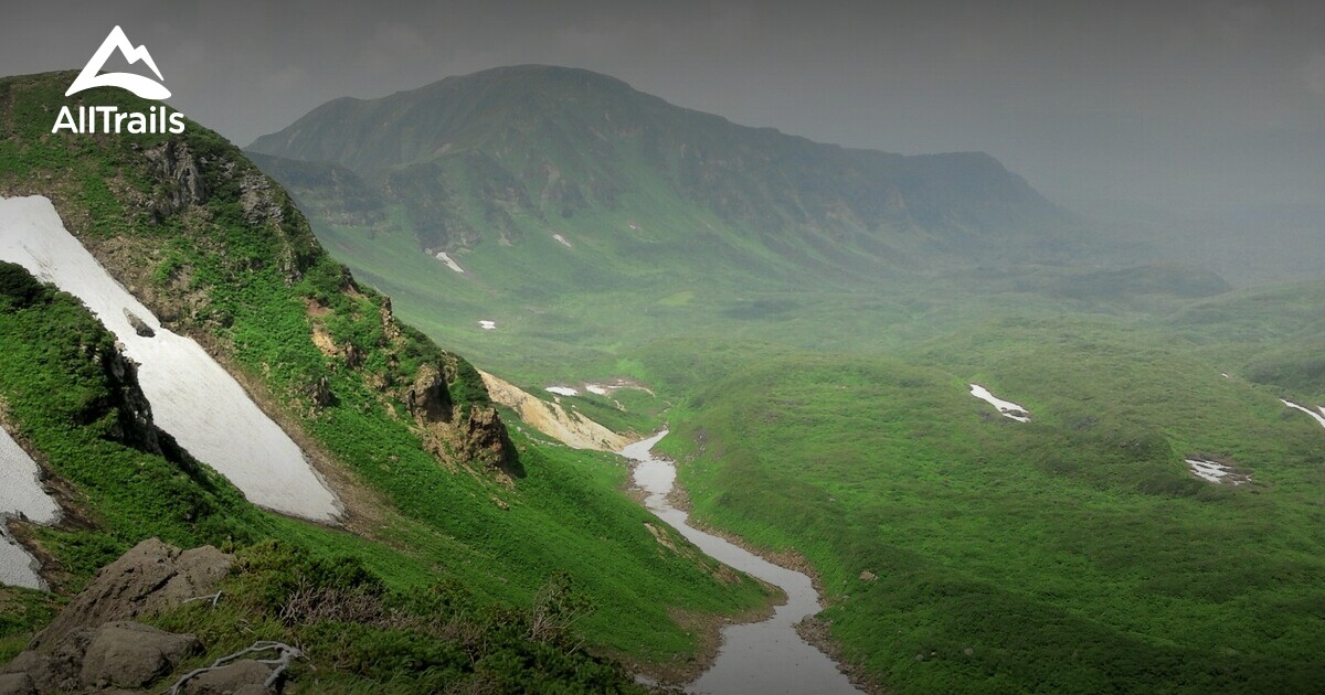 Best wildflower trails in Chokai Quasi-National Park | AllTrails