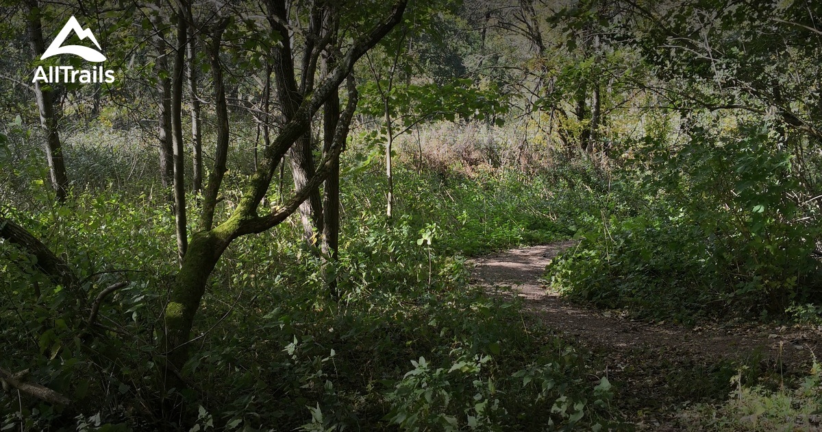 Best forest trails in Hansted Skov | AllTrails