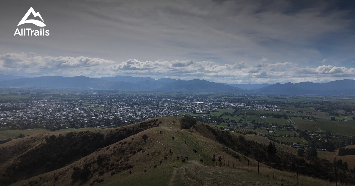 Best Trails in Wither Hills Farm Park - Marlborough, New Zealand ...