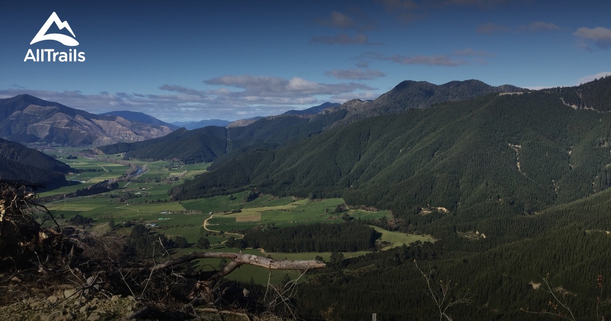Best hikes and trails in Pelorus Bridge Scenic Reserve | AllTrails