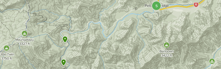 Best trails in Pelorus Bridge Scenic Reserve | AllTrails