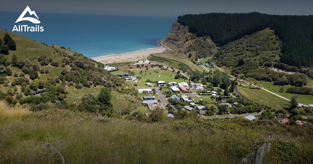 Best hikes and trails in Waipātiki Bush Reserve | AllTrails