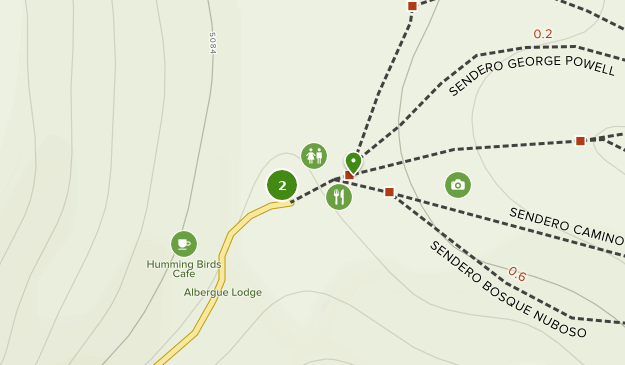 Best Trails in Monteverde Cloud Forest Reserve - Puntarenas, Costa Rica ...