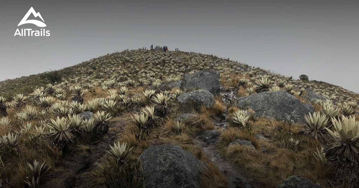 10 Best hikes and trails in Parque Nacional Natural Chingaza | AllTrails