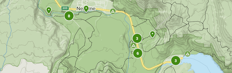 De 10 beste routes in Reserva Biológica Huilo Huilo | AllTrails