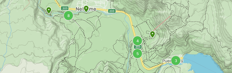 Los 10 mejores senderos y rutas en Reserva Biológica Huilo Huilo ...