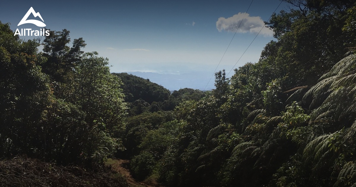 Best hikes and trails in Curi-Cancha Reserve | AllTrails