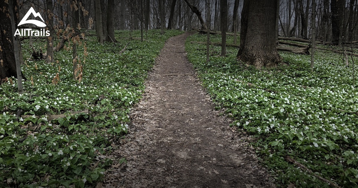 Best hikes and trails in Bendix Woods County Park | AllTrails