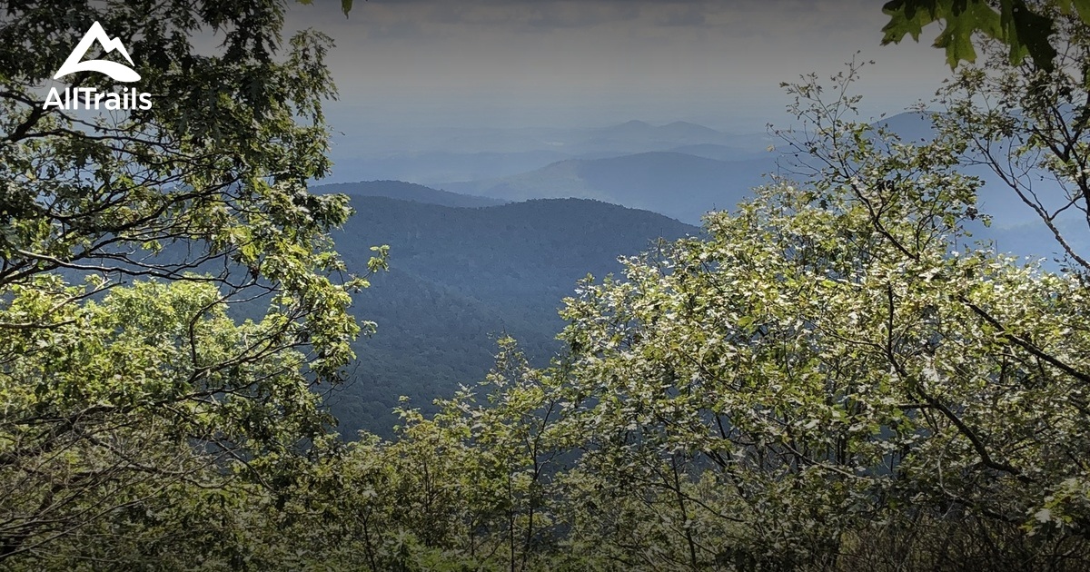 Best Trails in Chestatee Wildlife Management Area - Georgia | AllTrails
