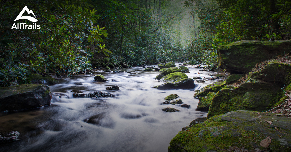 Best Trails in Chestatee Wildlife Management Area - Georgia | AllTrails