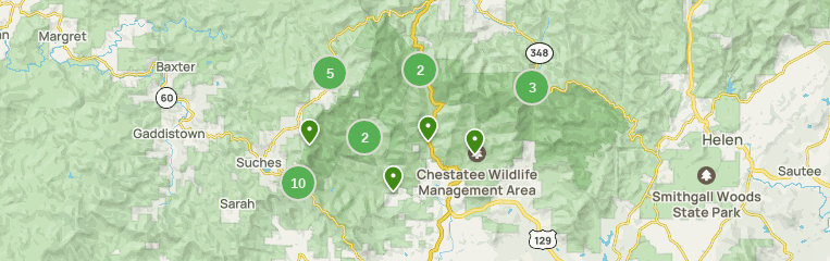Best 10 Hikes and Trails in Chestatee Wildlife Management Area | AllTrails