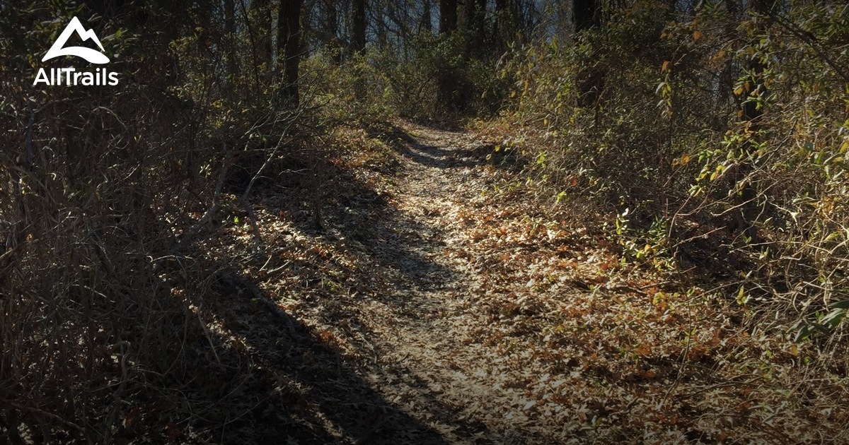 Best hikes and trails in Wilderness Park | AllTrails
