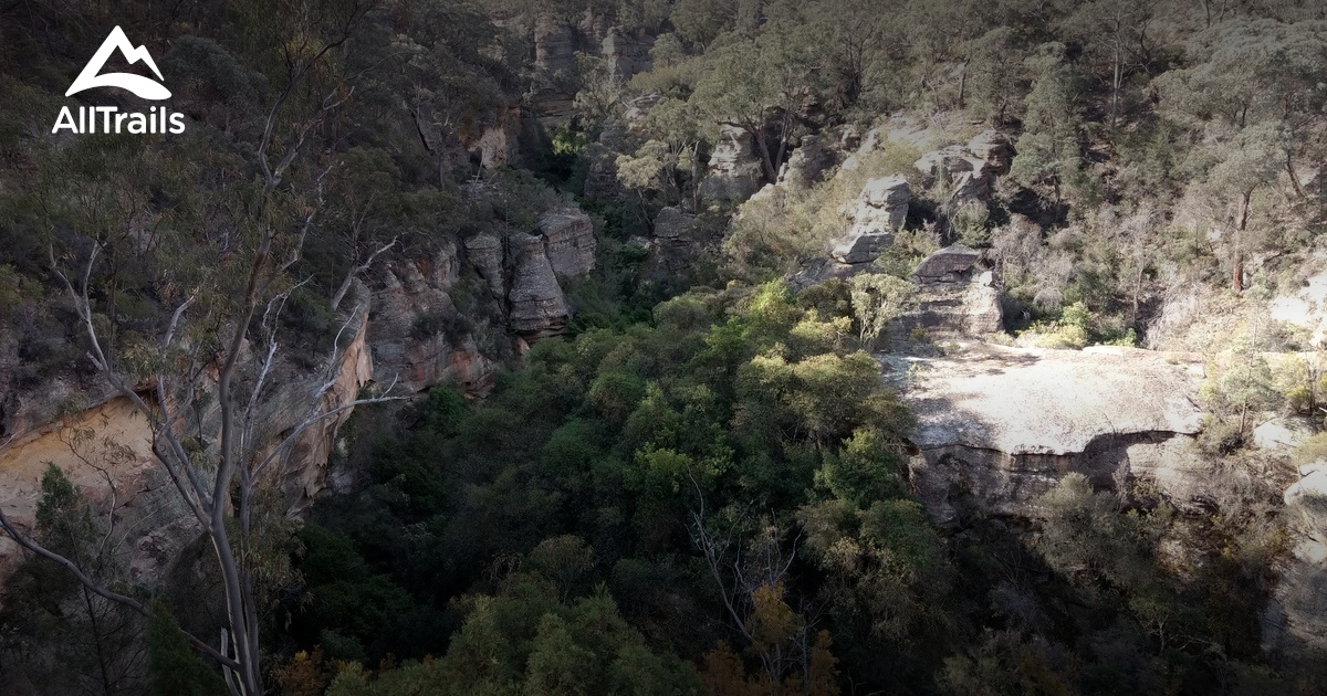 Best hikes and trails in Ferntree Gully Environmental Reserve | AllTrails