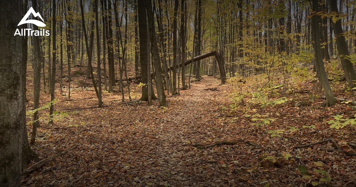 Best hikes and trails in Battell Nature Preserve | AllTrails