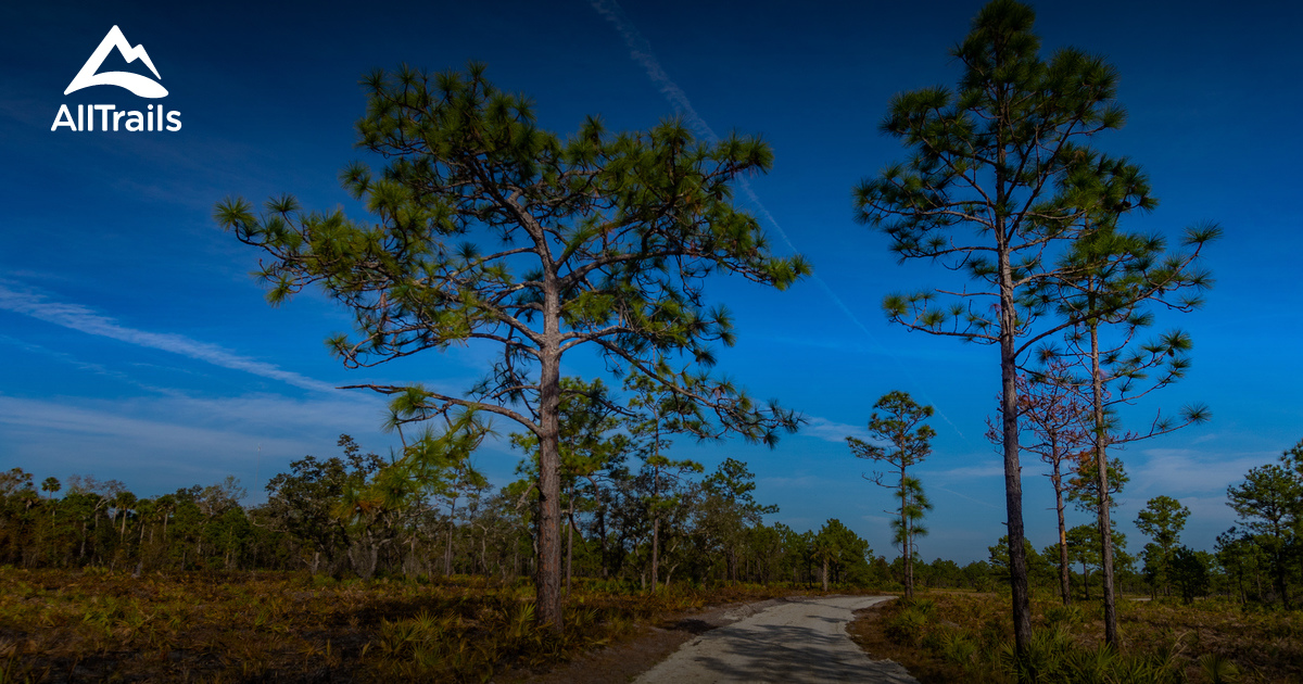 Best Trails in Charles H. Bronson State Forest - Florida | AllTrails
