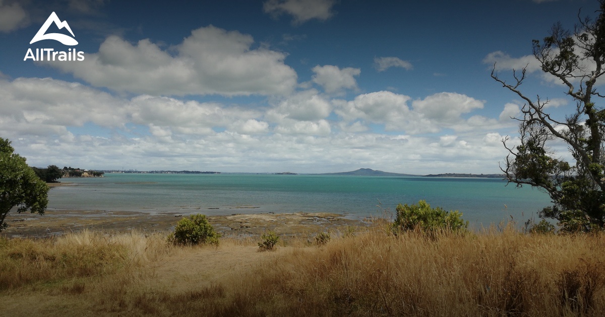 De beste kampeerroutes in Ōmana Regional Park | AllTrails