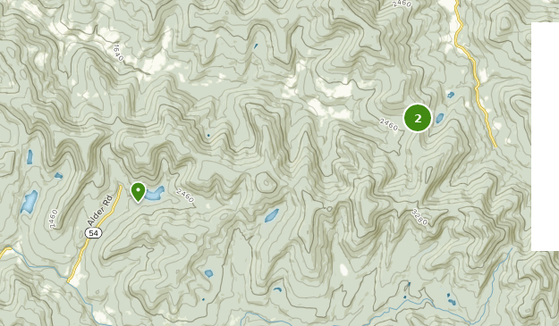 Best Trails in Balsam Lake Mountain Wild Forest - New York | AllTrails