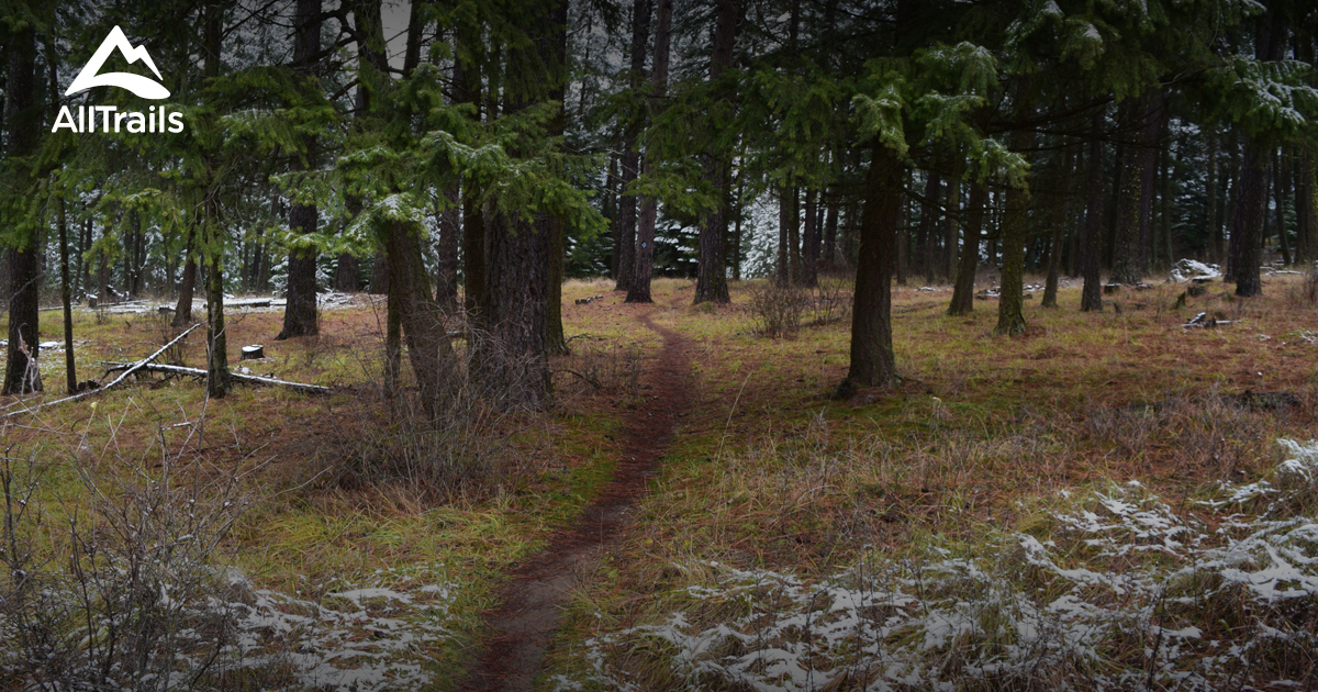 Best hikes and trails in Wallace Forest Conservation Area | AllTrails