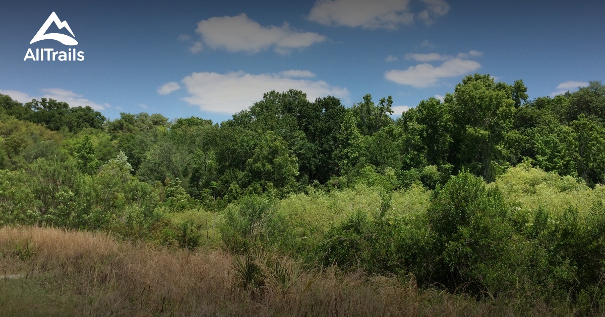 Best hikes and trails in Hidden Waters Preserve | AllTrails