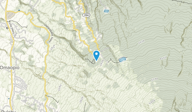 Best Trails in Waihou Spring Forest Reserve - Maui, Hawaii | AllTrails