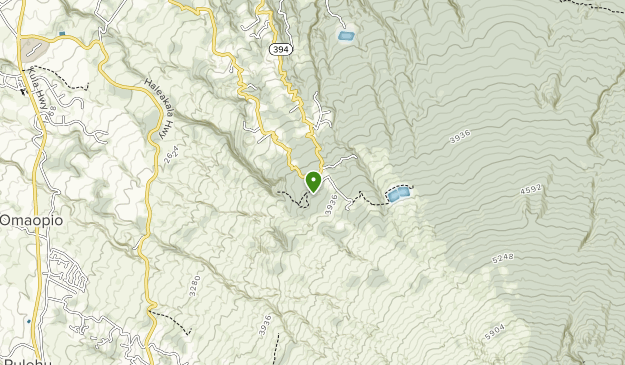 Best Trails in Waihou Spring Forest Reserve - Maui, Hawaii | AllTrails