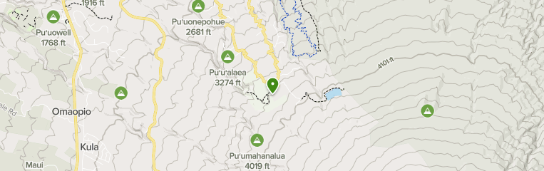 Best 10 Trails in Waihou Spring Forest Reserve | AllTrails