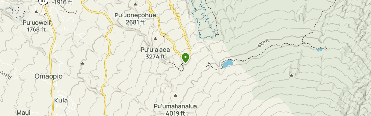 Best Hikes and Trails in Waihou Spring Forest Reserve | AllTrails