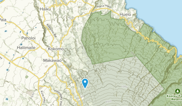 Best Trails in Makawao Forest Reserve - Maui, Hawaii | AllTrails