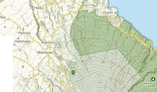 Best Trails in Makawao Forest Reserve - Maui, Hawaii | AllTrails