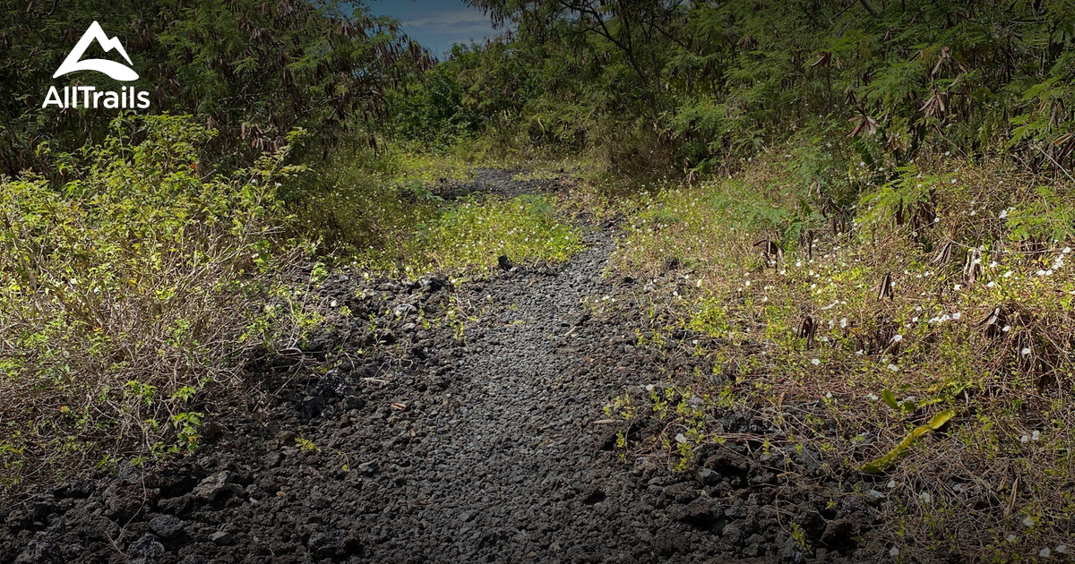 Best hikes and trails in Napoopoo Park | AllTrails