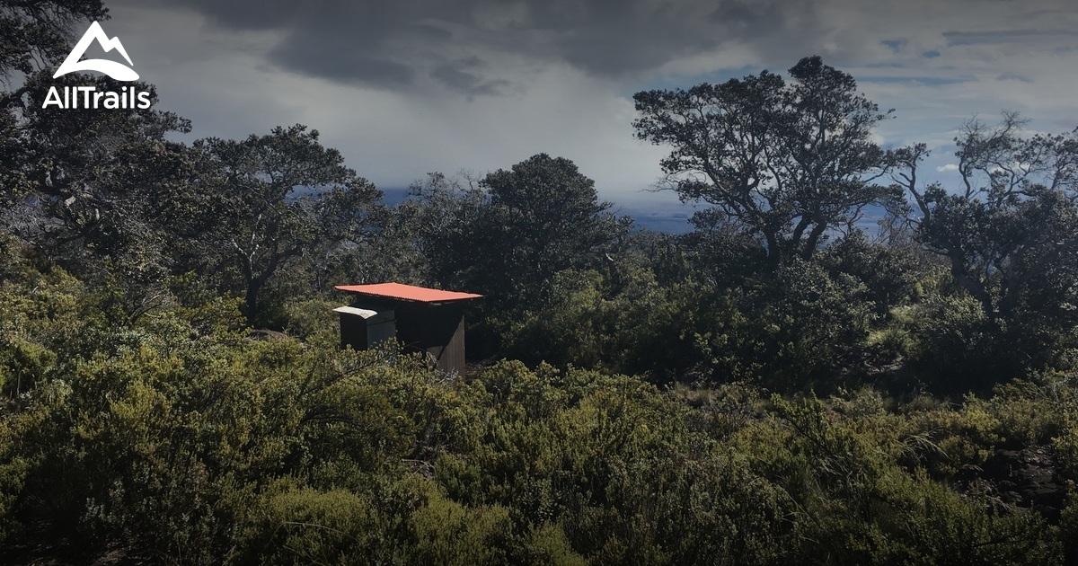 Best hikes and trails in Kapāpala Forest Reserve | AllTrails