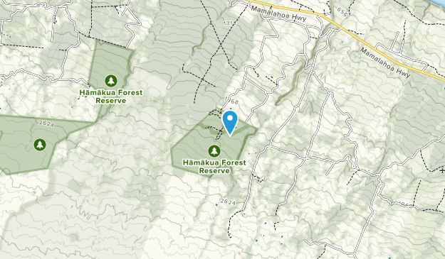 Best Trails in Kalopa State Recreation Area - Hawaii, Hawaii | AllTrails