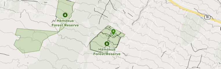 Best Trails in Kalopa State Recreation Area - Hawaii, Hawaii | AllTrails