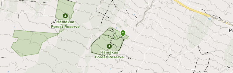 Best 10 Trails in Kalopa State Recreation Area | AllTrails