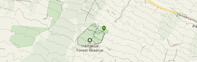 Best Hikes and Trails in Kalopa State Recreation Area | AllTrails