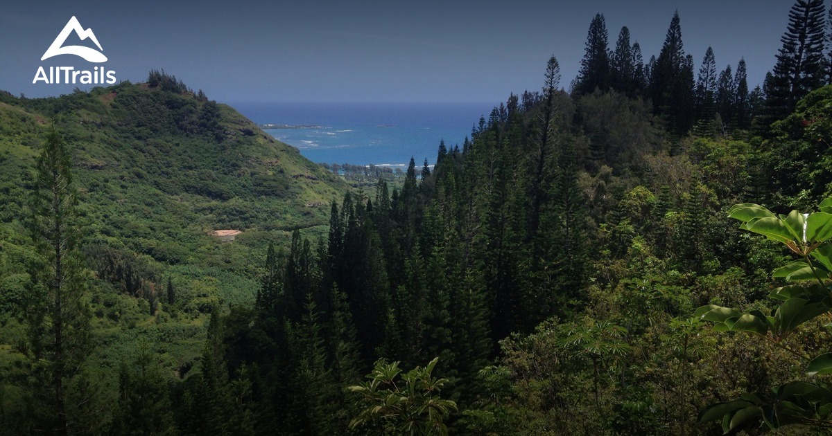 Best forest trails in Hauula Forest Reserve | AllTrails