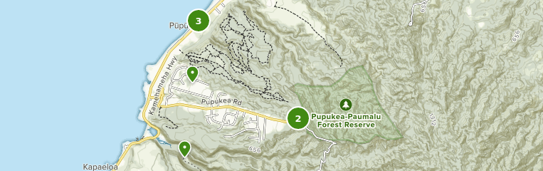 Best Trails in Pupukea Paumalu Forest Reserve - Oahu, Hawaii | AllTrails