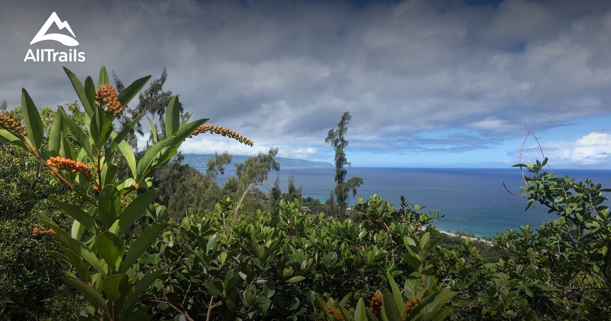 Best hikes and trails in Pupukea Paumalu Forest Reserve | AllTrails