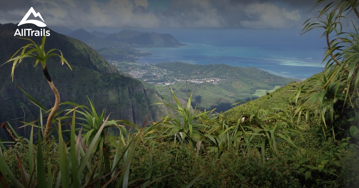 Best Trails in Honolulu Watershed Forest Reserve - Oahu, Hawaii | AllTrails