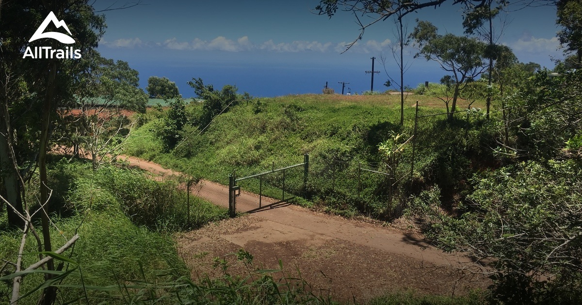 Best Trails in Mokuleia Forest Reserve - Oahu, Hawaii | AllTrails