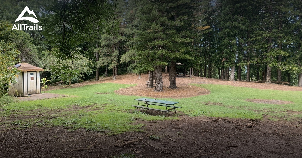 Best hikes and trails in Mokuleia Forest Reserve | AllTrails